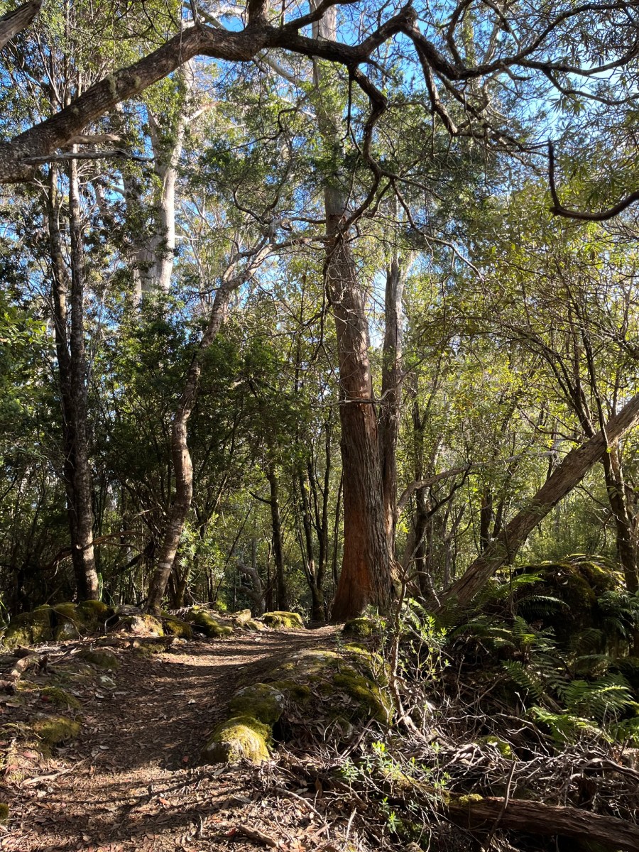 Day four and the walk completed – My Longest Journey